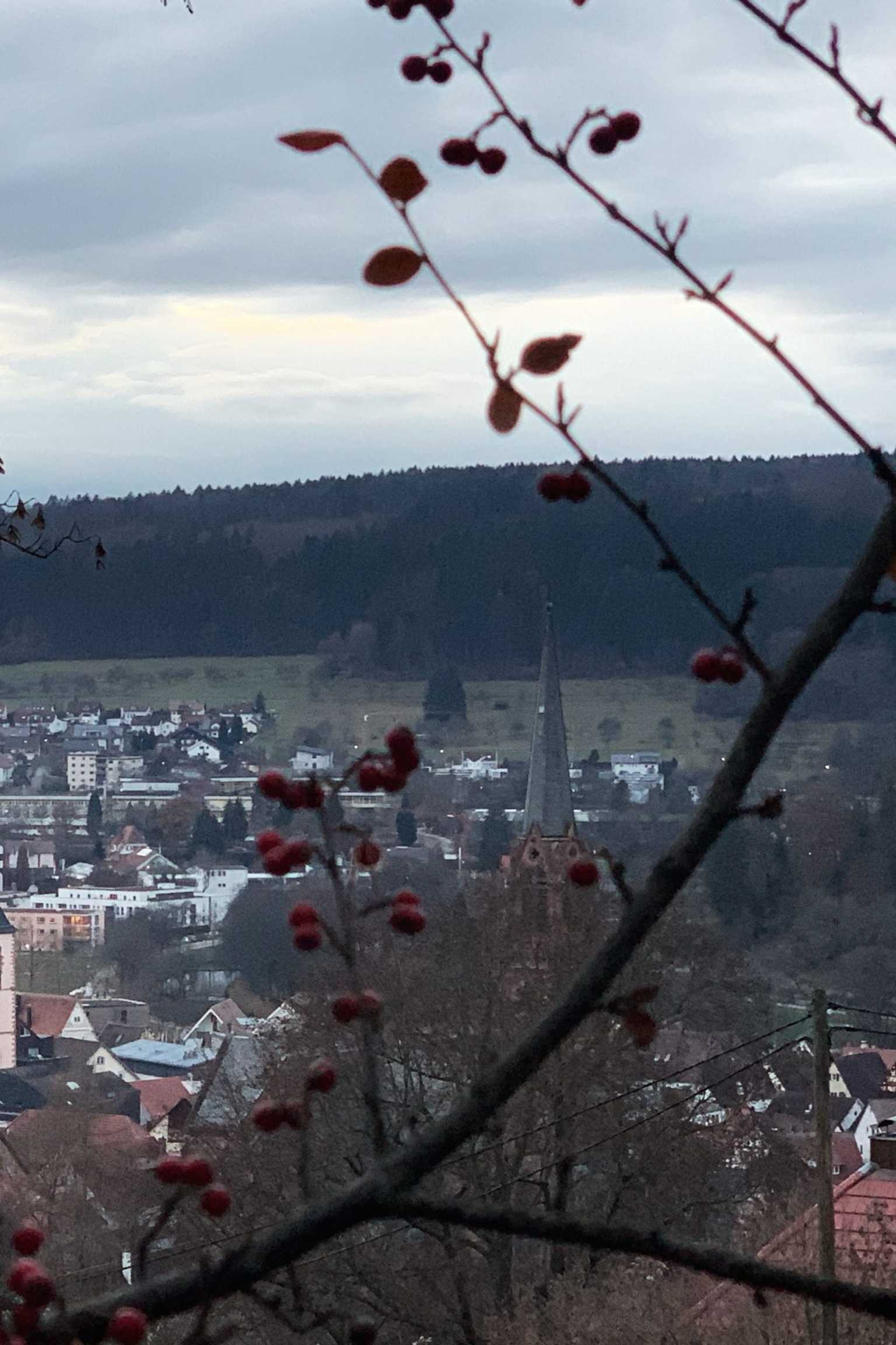 Nagold History— die Galgenberg-Story | Goldfieber